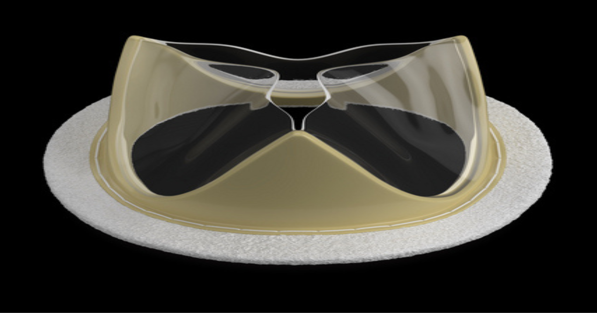 Foldax Has Regulatory Win for Tria Mitral Valve