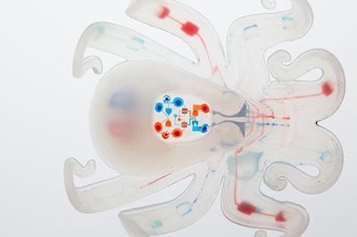 Meet The Octobot: The World’s First Autonomous Soft Robot