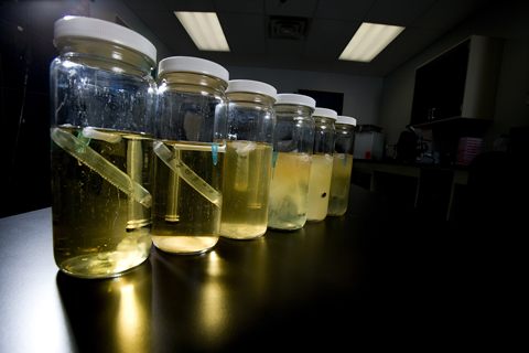 How Can You Ensure that Your Device Is Sterile?