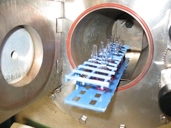 To Assess or Determine? Unraveling the D-Value