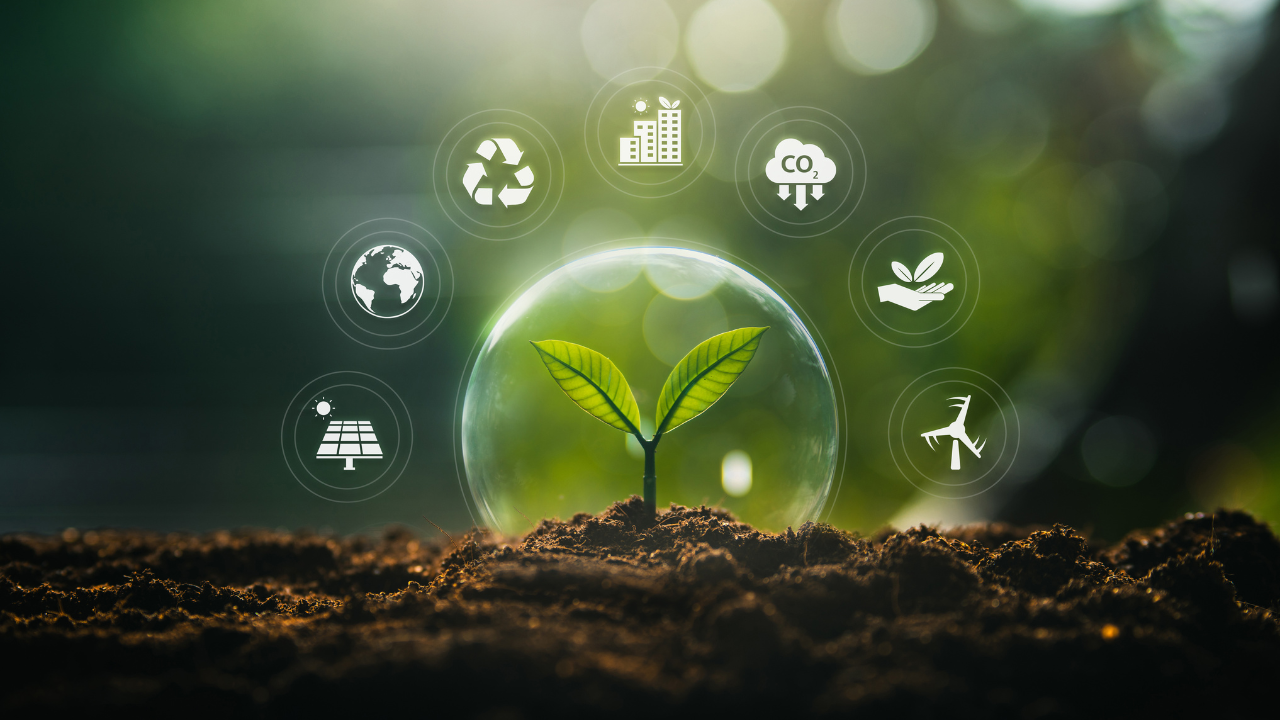 Cardiovascular, Diabetes Segments Lead Medtronic’s Q2