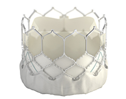 Edwards Just Scored a Major TAVR Win