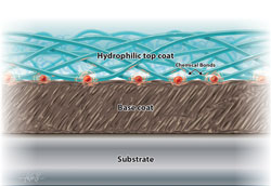 Hydrophilic Coatings: Considerations for Product Development
