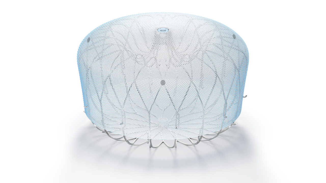 FDA Updates Watchman Instruction Following 17 Deaths, 120 Injuries