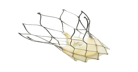 St Jude Medical to Resume Portico Heart Valve Implants