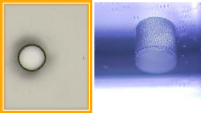 Detecting Nitinol Surface Inclusions