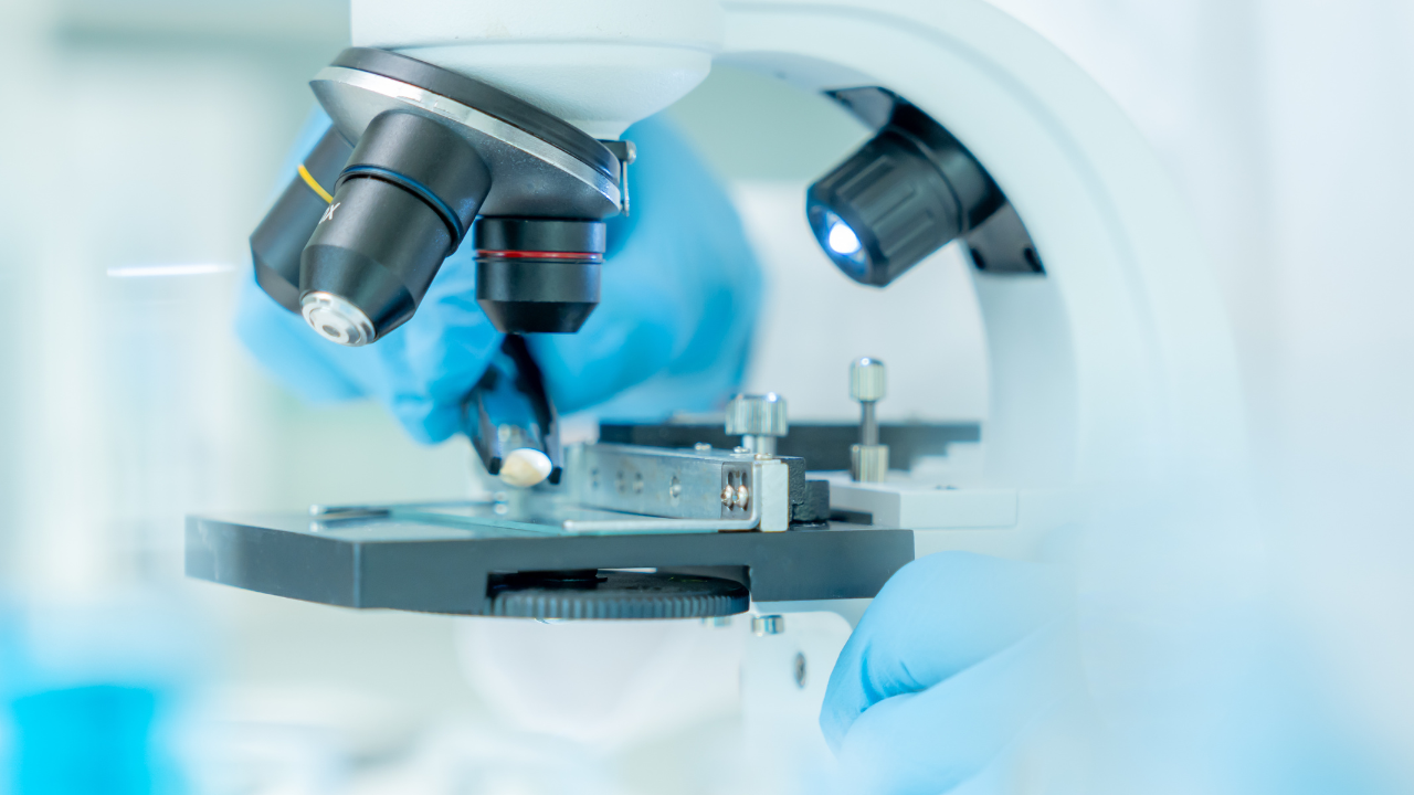 Microbiological Updates to 11137-1:2025 - Demonstrating Stability in ...