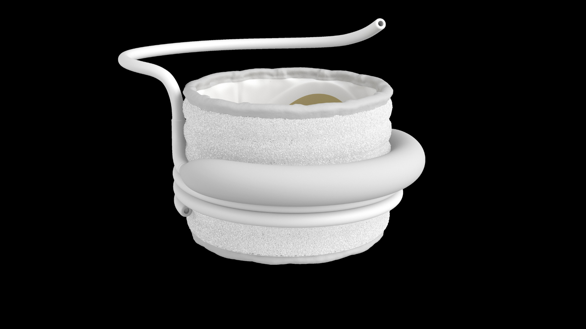 Did Edwards Just Pull Off a 1st in the Mitral Valve Market?