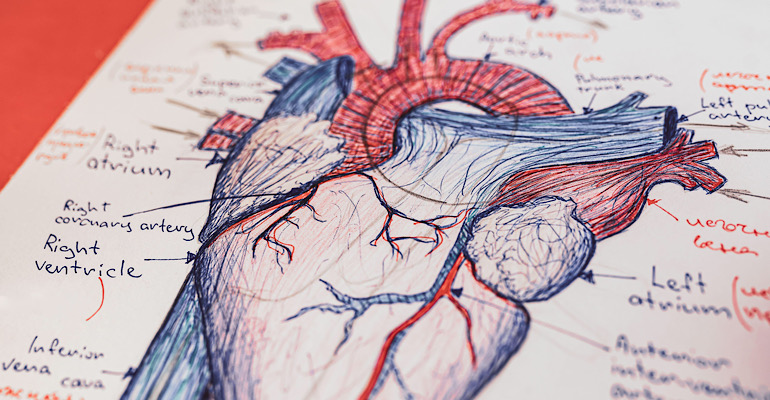 Acutus Has a Wider Reach for 3D Imaging and Mapping Catheter