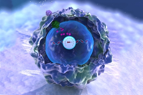 How to Turn Human Cell DNA Into a 'Tape Recorder'