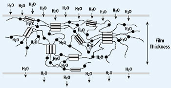 Breathable TPE Films for Medical Applications