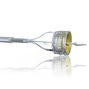 Boston Scientific Tries New Size for Lotus Valve System