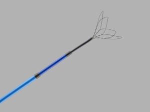 Cook Medical among Companies with Serious Recalls