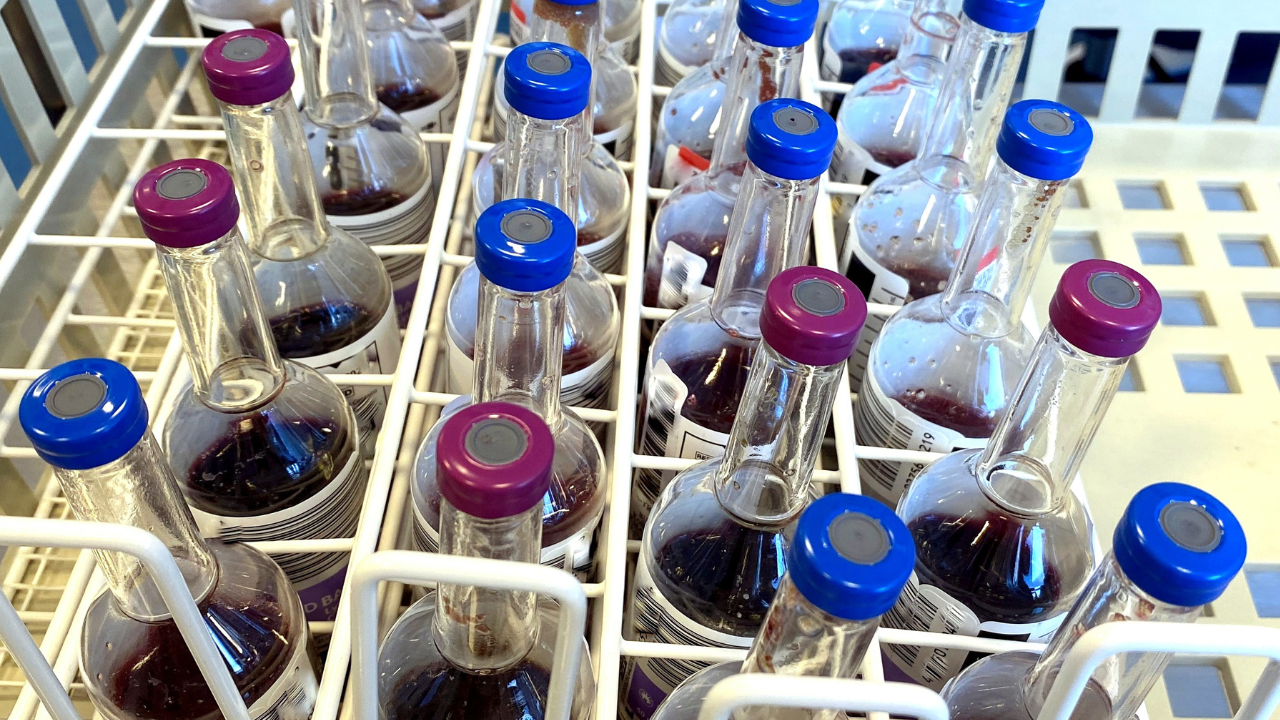 BD Bactec Blood Culture Media Bottles in Shortage