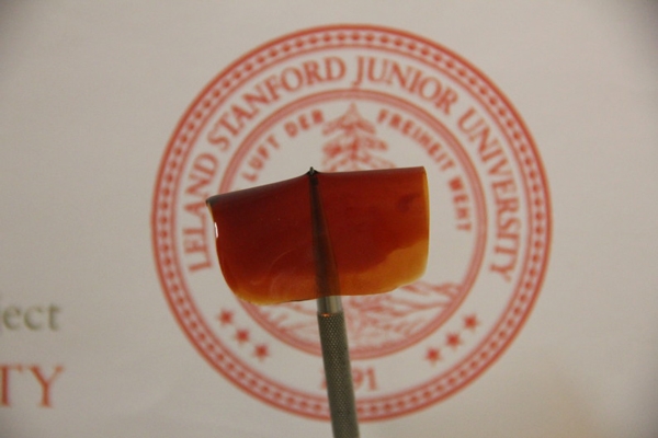 This New Super Material Could Enable Artificial Muscles