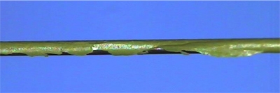 How Surface Solutions Group Solved a Dangerous MedTech Coating Issue