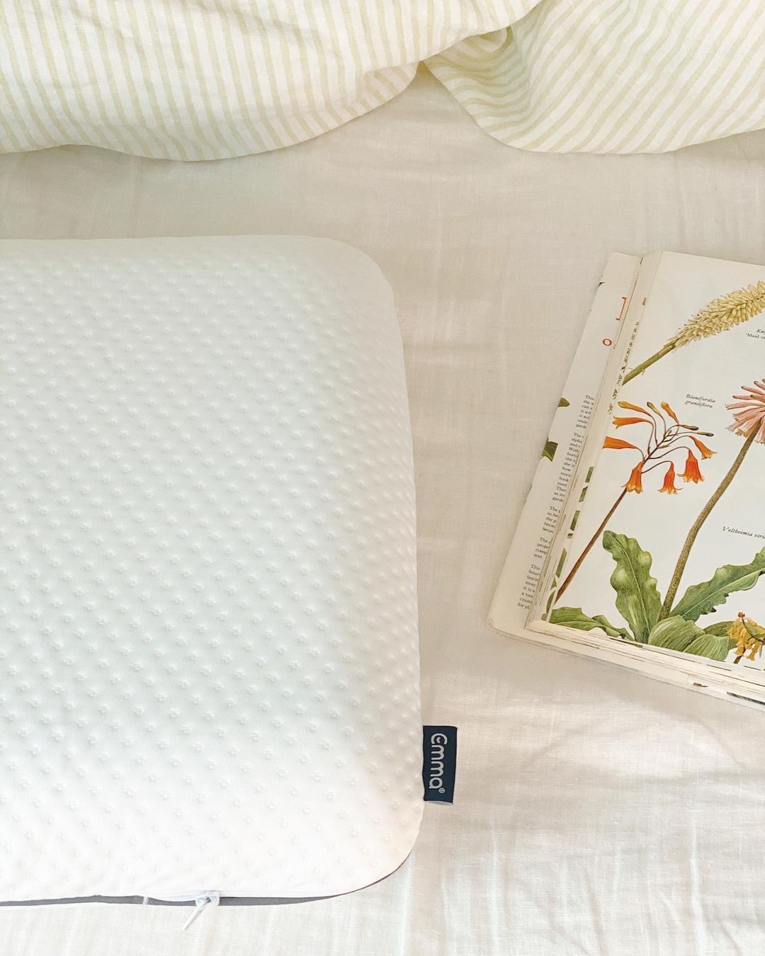 Emma Original Pillow Bundle | Emma - The Sleep Company