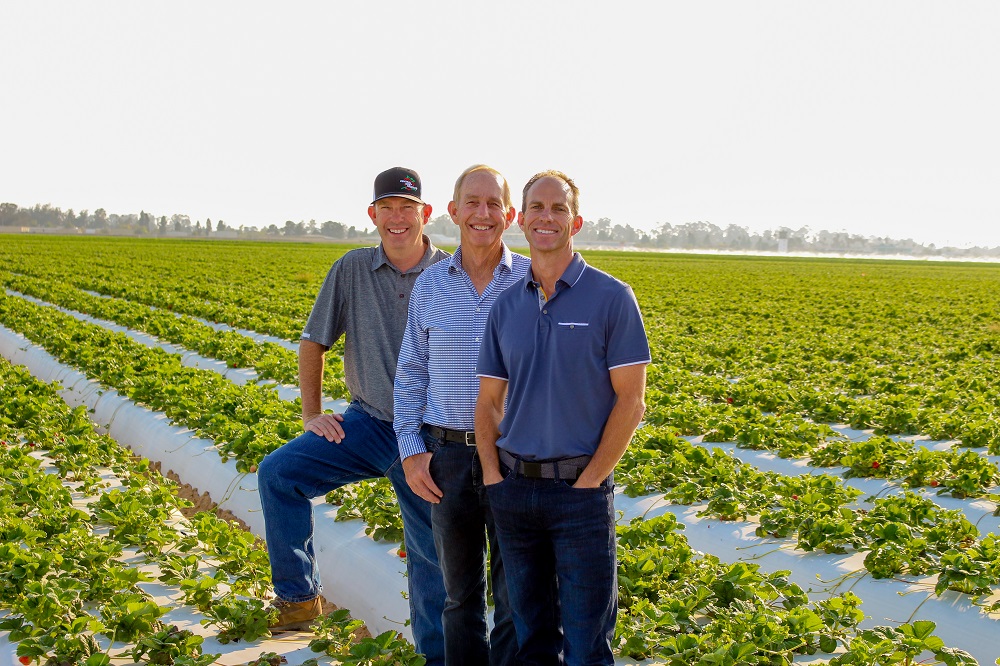 Central West Produce Looks to Expand Acreage to Meet Organic Berry Demand