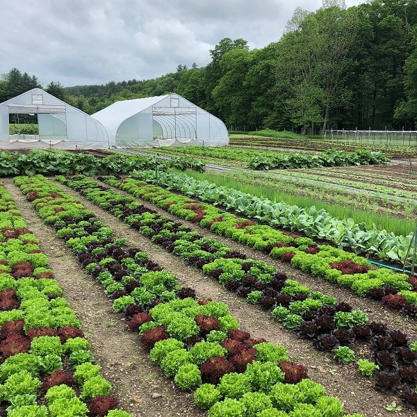 Grower Spotlight: Neversink Farm
