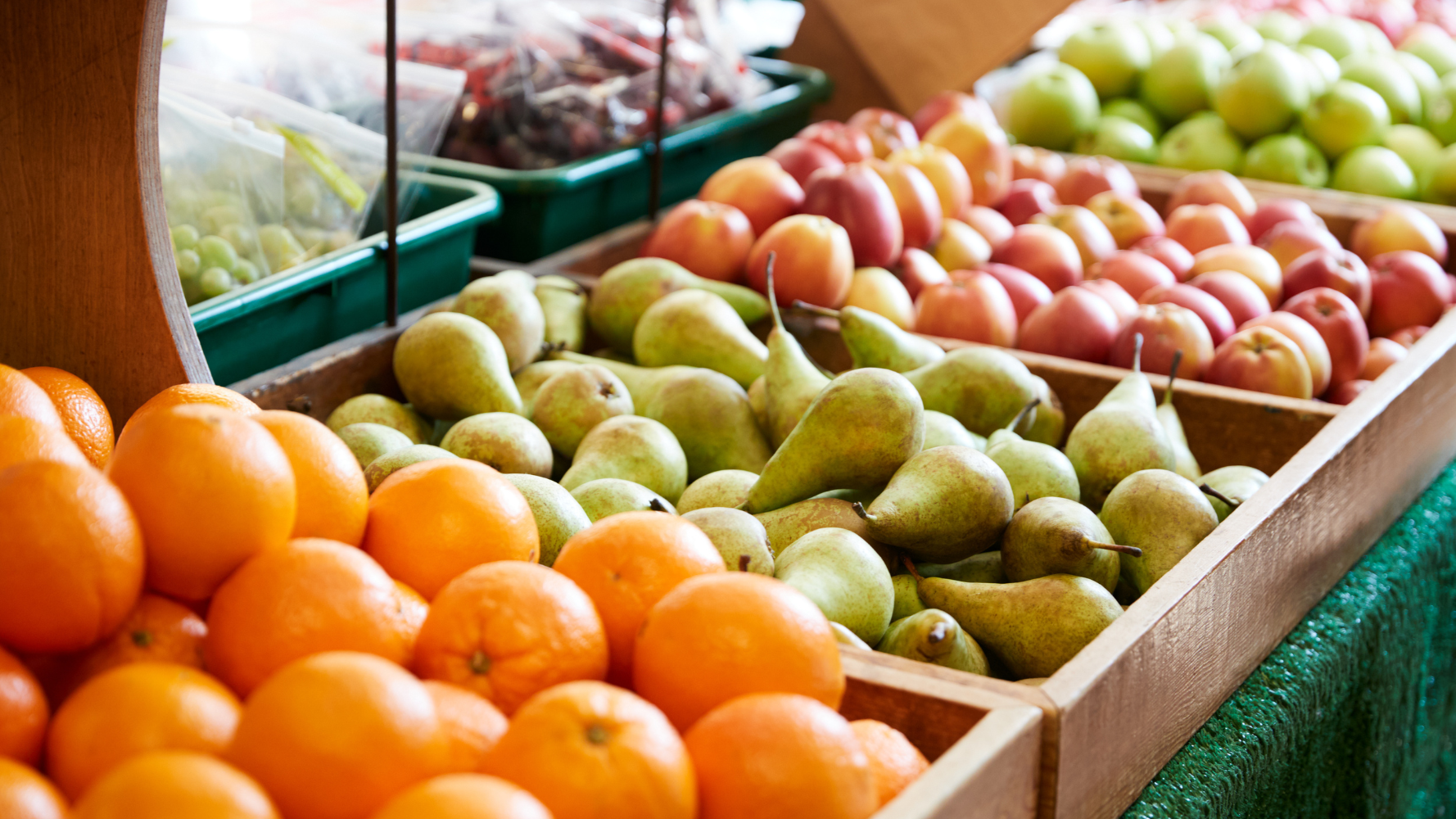 OK Produce Has a Rich History of Sustainability