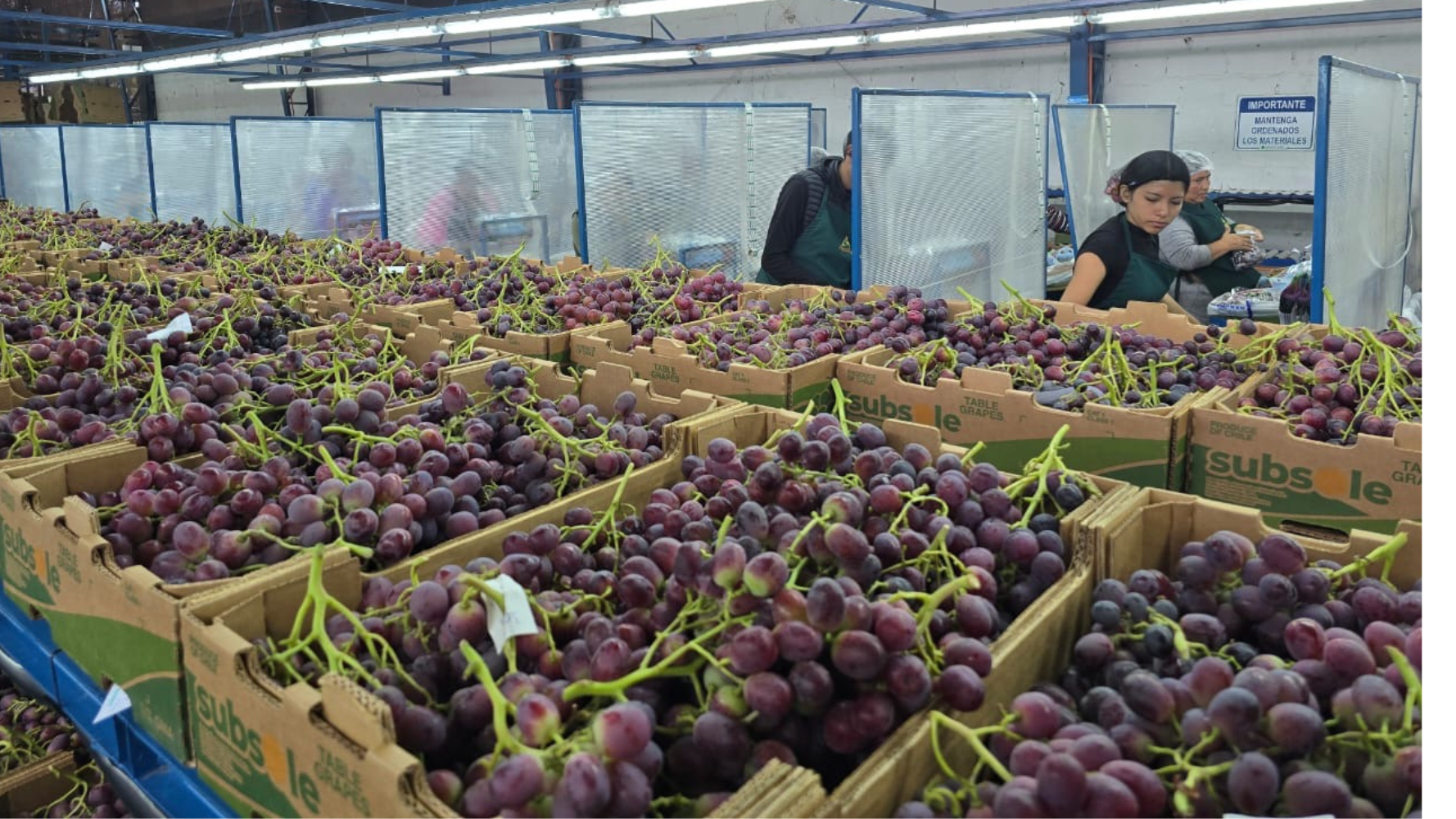 After years of negotiation around pest-control processes, Chilean ...