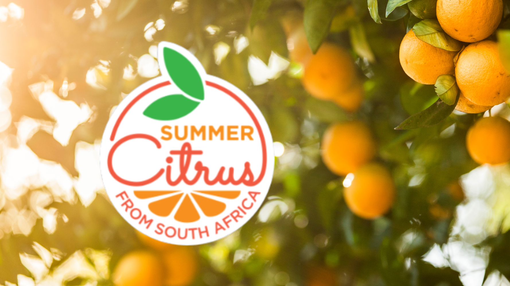 Summer Citrus from South Africa boosts U.S. organic citrus supply