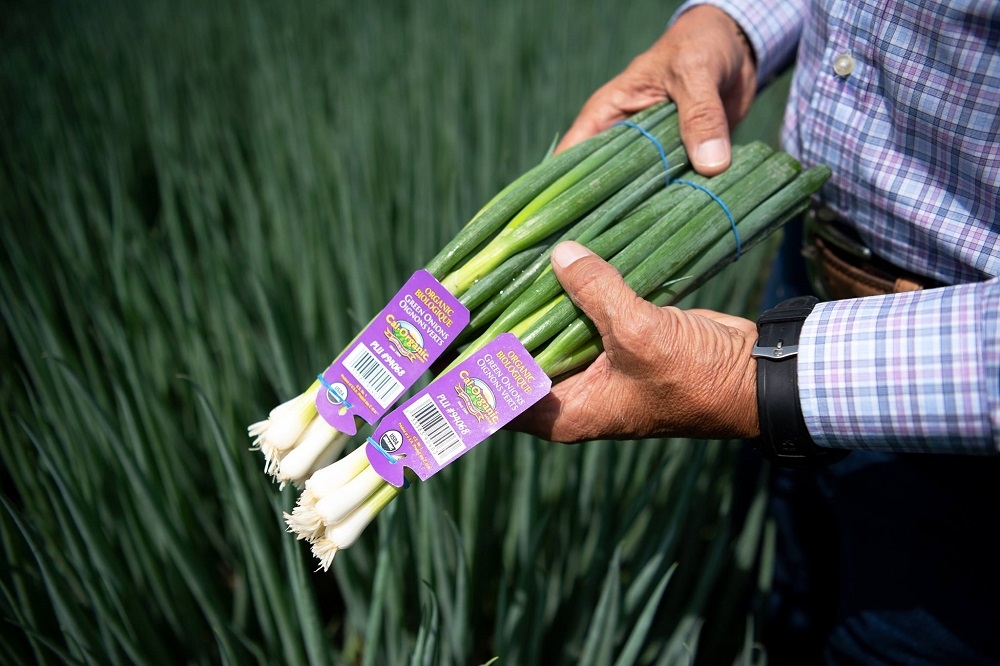 Green Onions in the Pricing Stratosphere