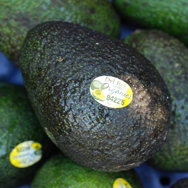 Organic Avocados Commanding Top Prices