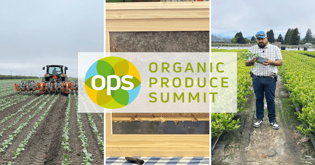 OPS field tours provide an insiders’ view of Monterey-area agriculture