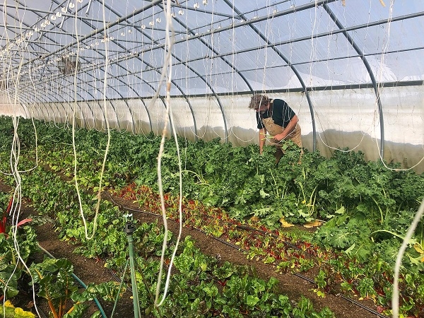 Grower Spotlight: Neversink Farm