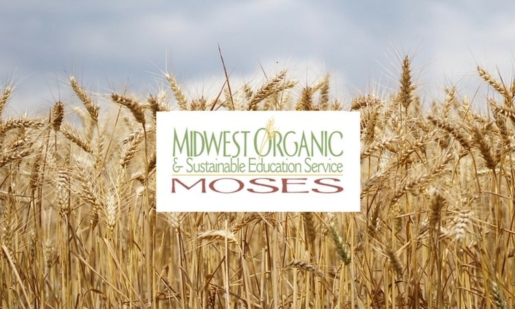 In Their Words: John Mesko