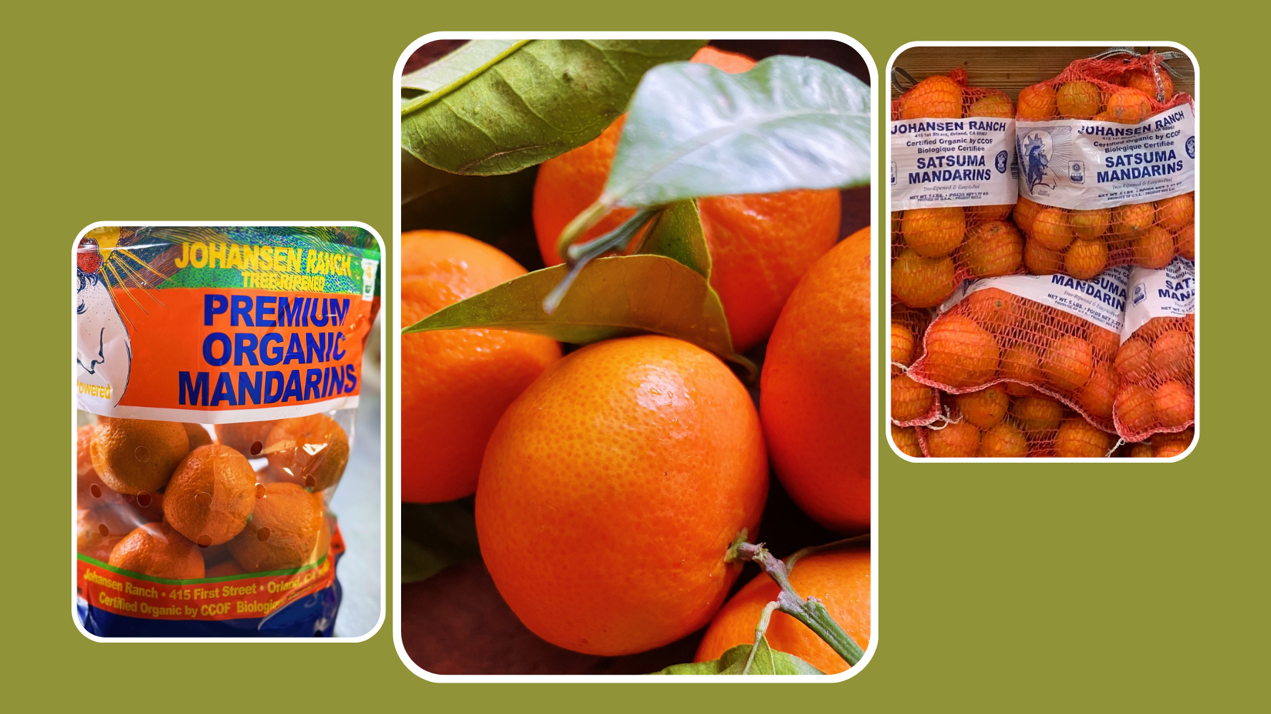 Organic Produce Network