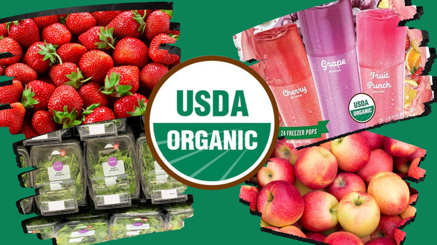 Organic Certification Requirements: The Strict USDA Standards