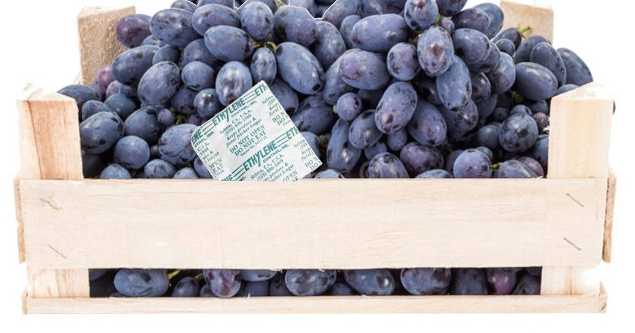 Ethylene Control's Products Help Organics Stay Fresh and Keep Their Flavor