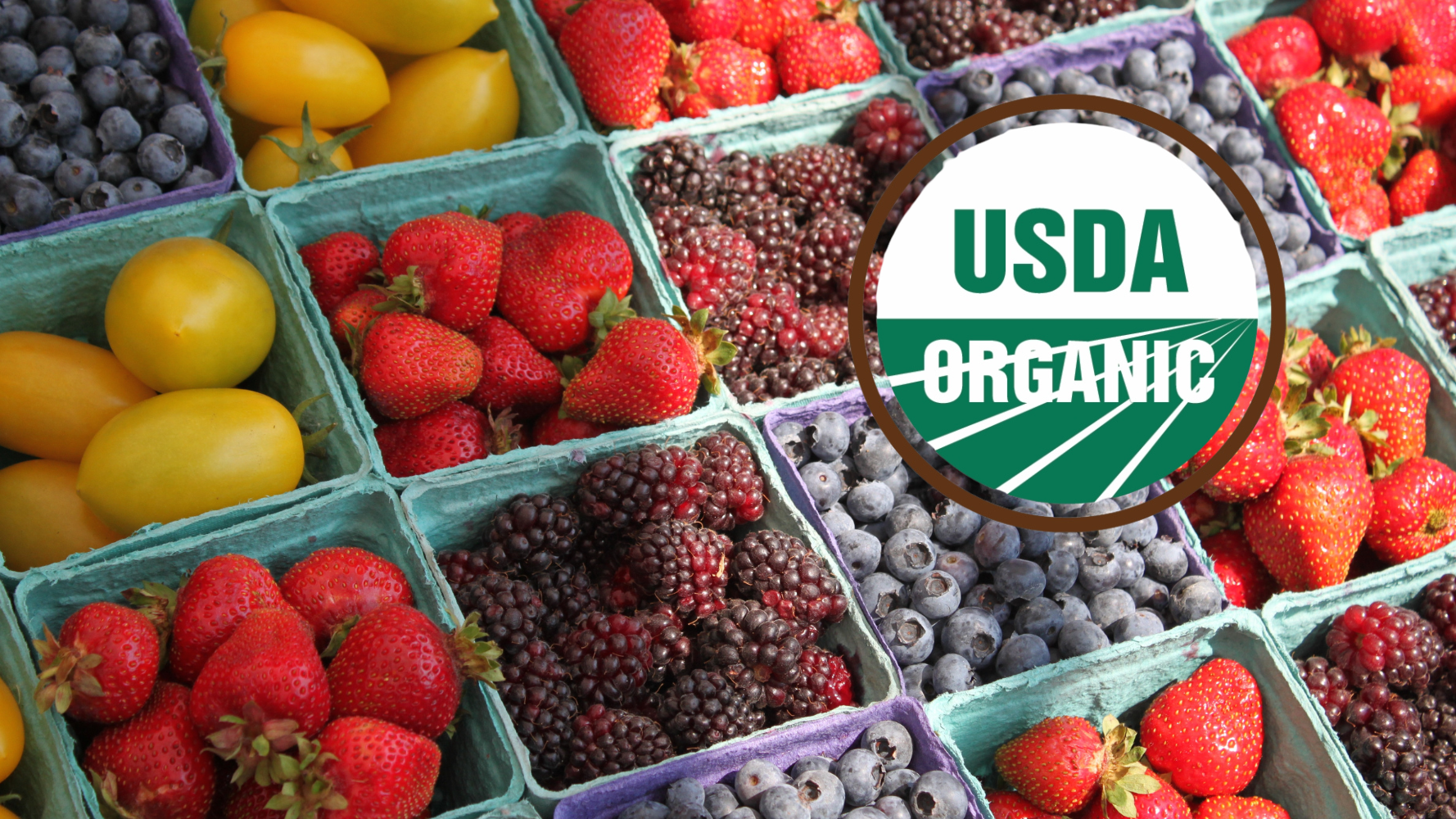 Organic Produce Network