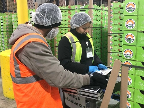 Mastronardi Produce's SUNSET Brand Puts Flavor First