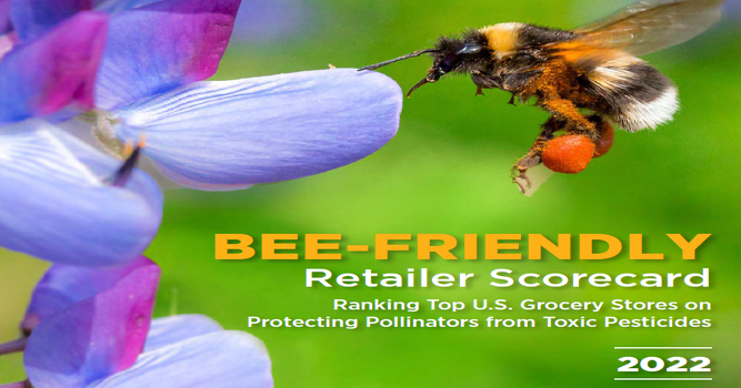 Giant Eagle and Walmart Rank Highest on Bee-Friendly Scorecard of Major ...