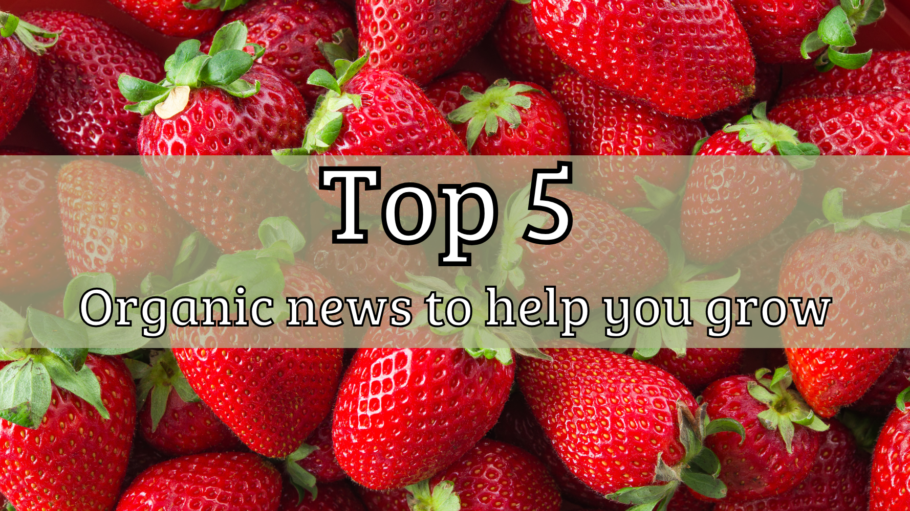 Gem-Pack Berries Continues Fruitful Expansions