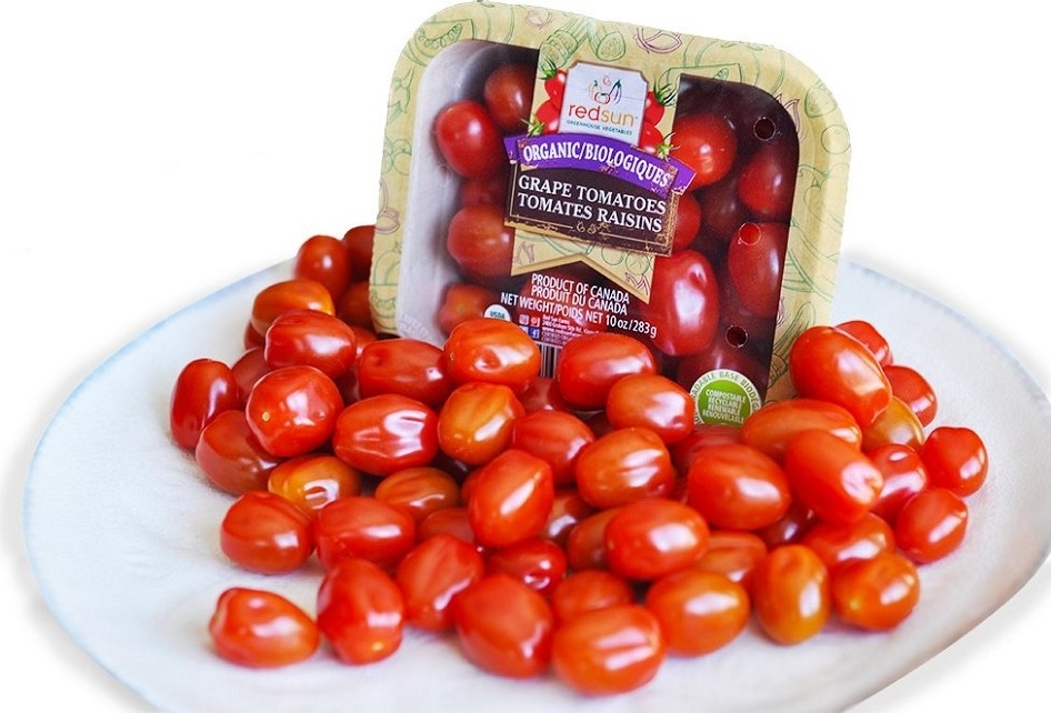 Red Sun Farms Is a Leader in Sustainable Agriculture