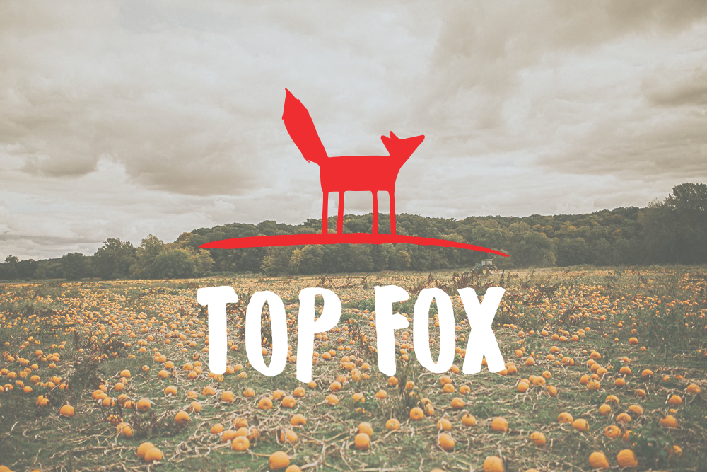 Top Fox Snacks Brings Bold Flavor to Organic Pumpkin Seeds