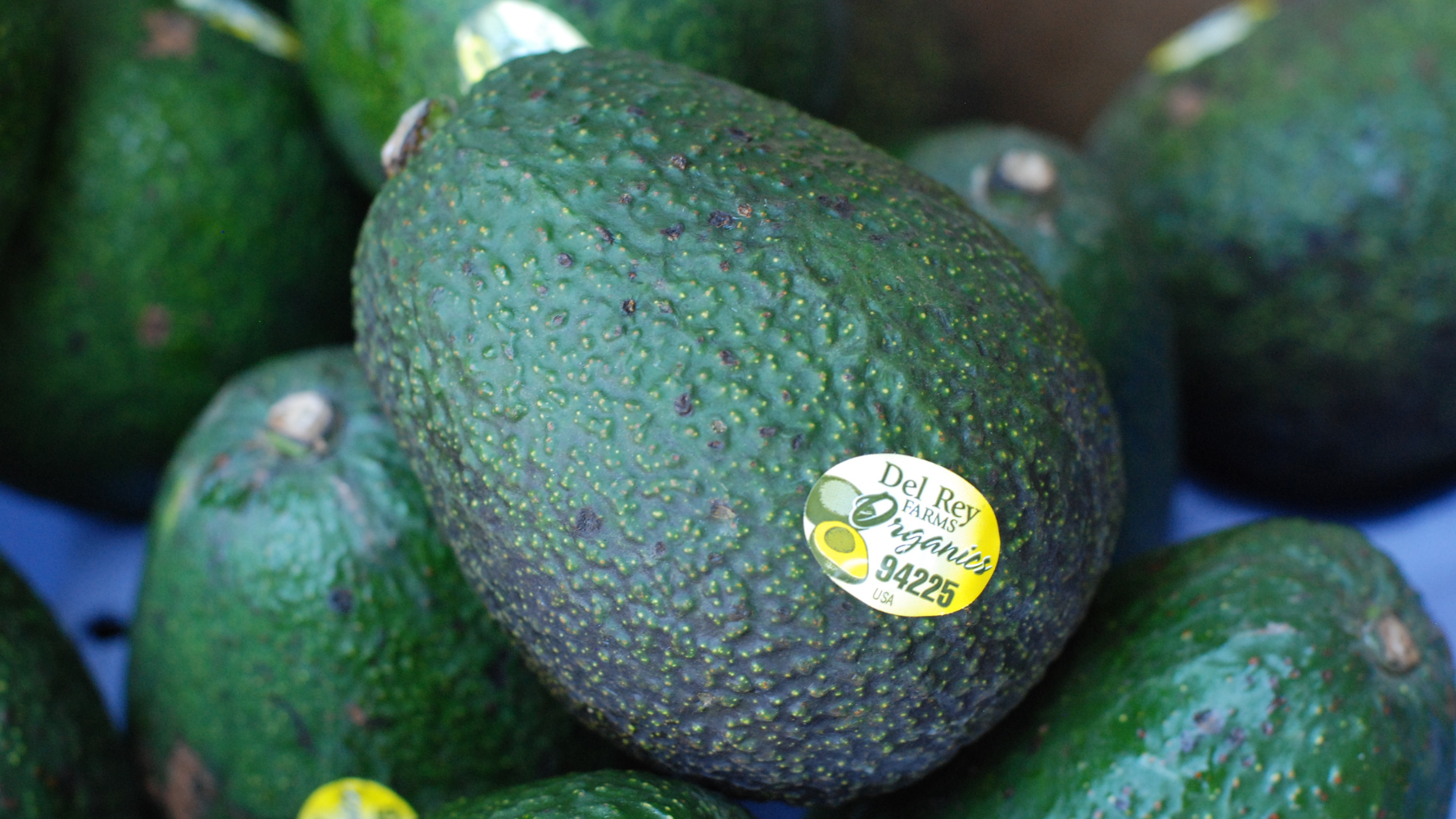Crop report: Avocado demand continues to drive good markets