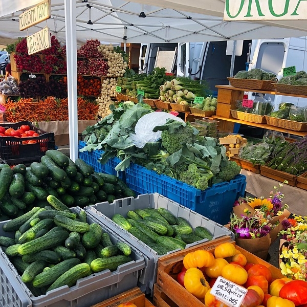 Grower Spotlight: Neversink Farm