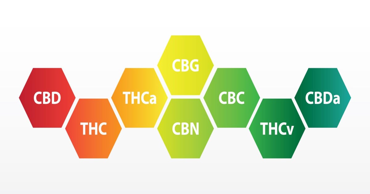 CBD makes way for minor cannabinoids