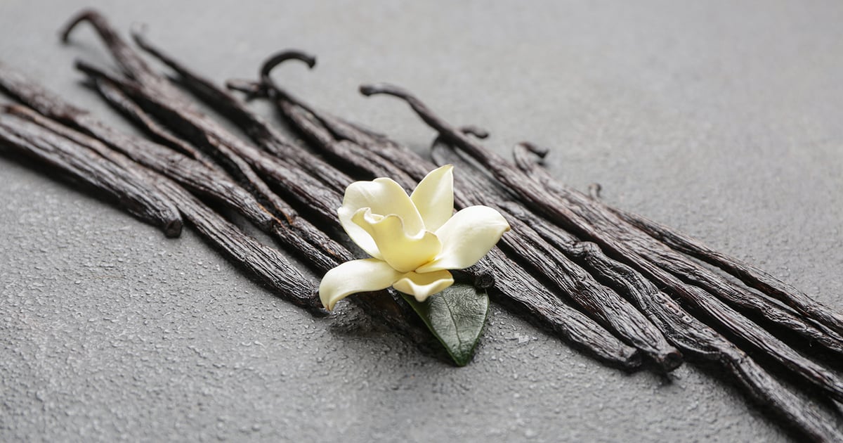 Vanilla forms and uses