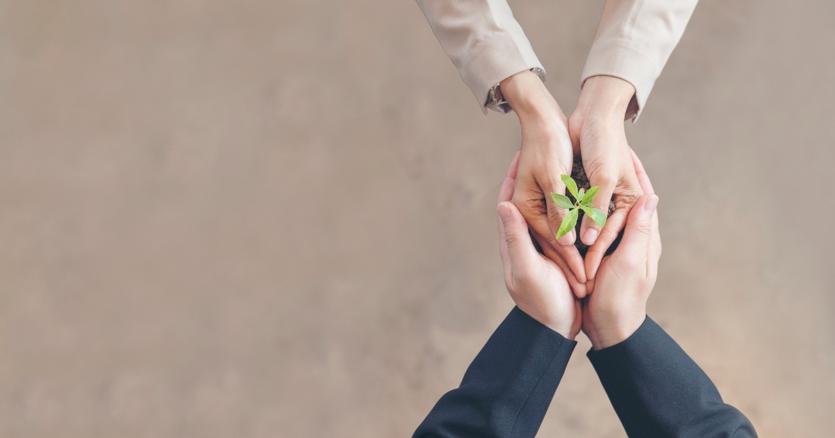 Proper strategies for sustainable sourcing