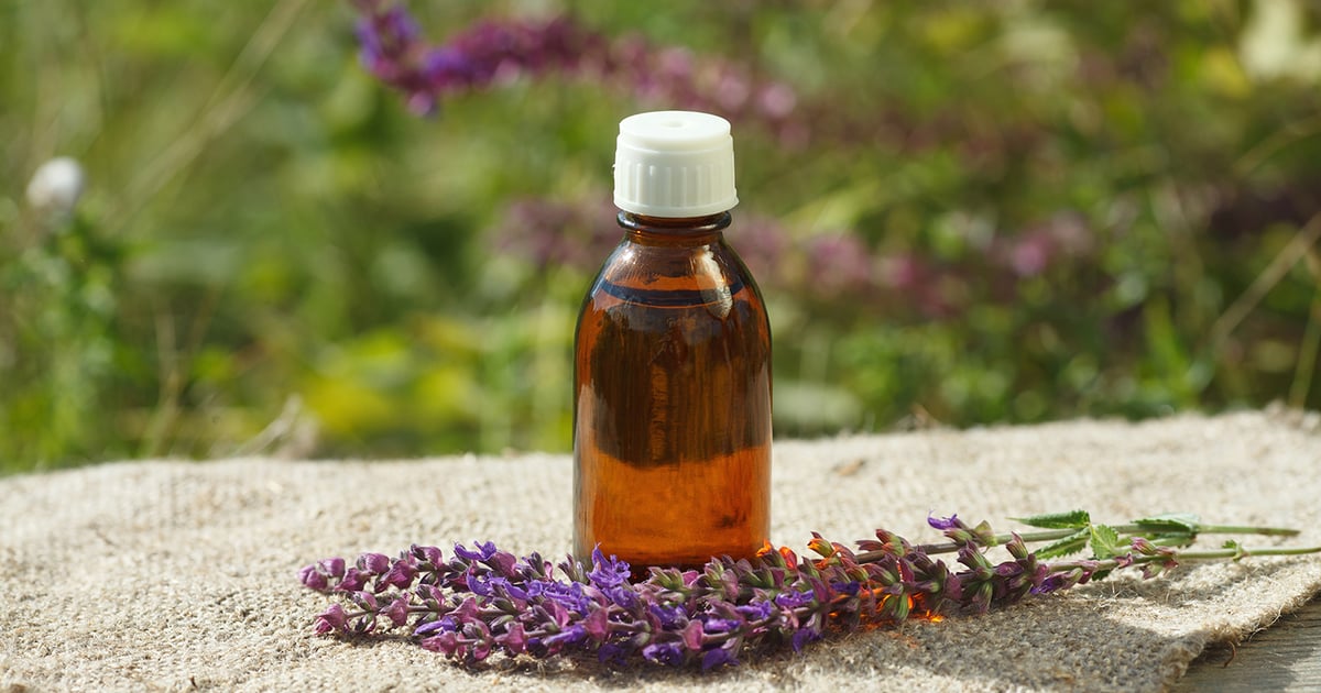 Sage offers brain boosting benefits