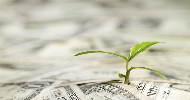 ZeaVision Receives Equity Investment from DSM