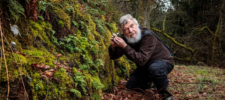 Moose und Flechten | wanderlust