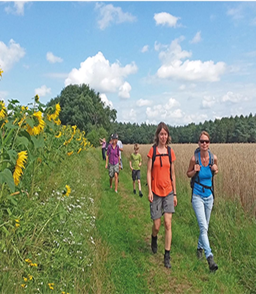 Top 10 Familienwege | wanderlust