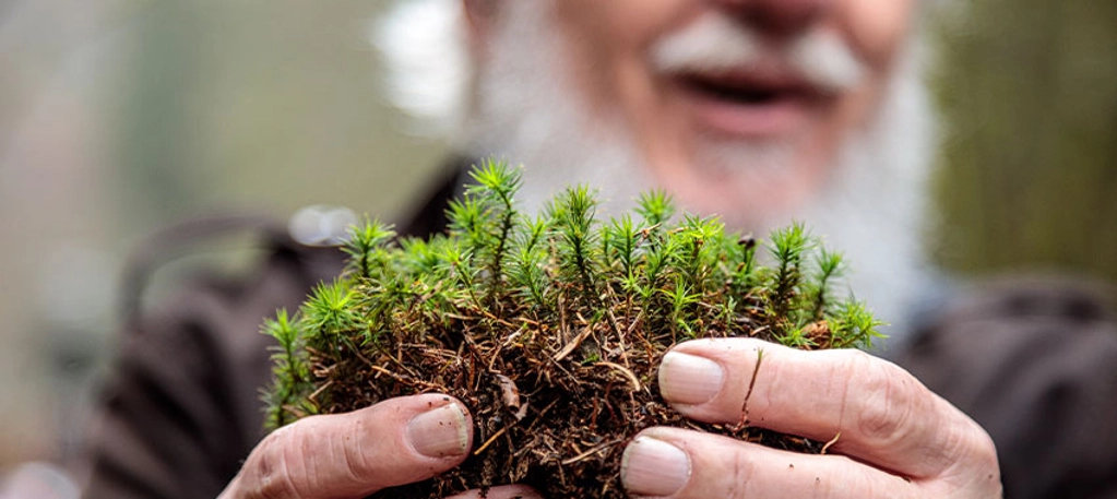 Moose und Flechten | wanderlust